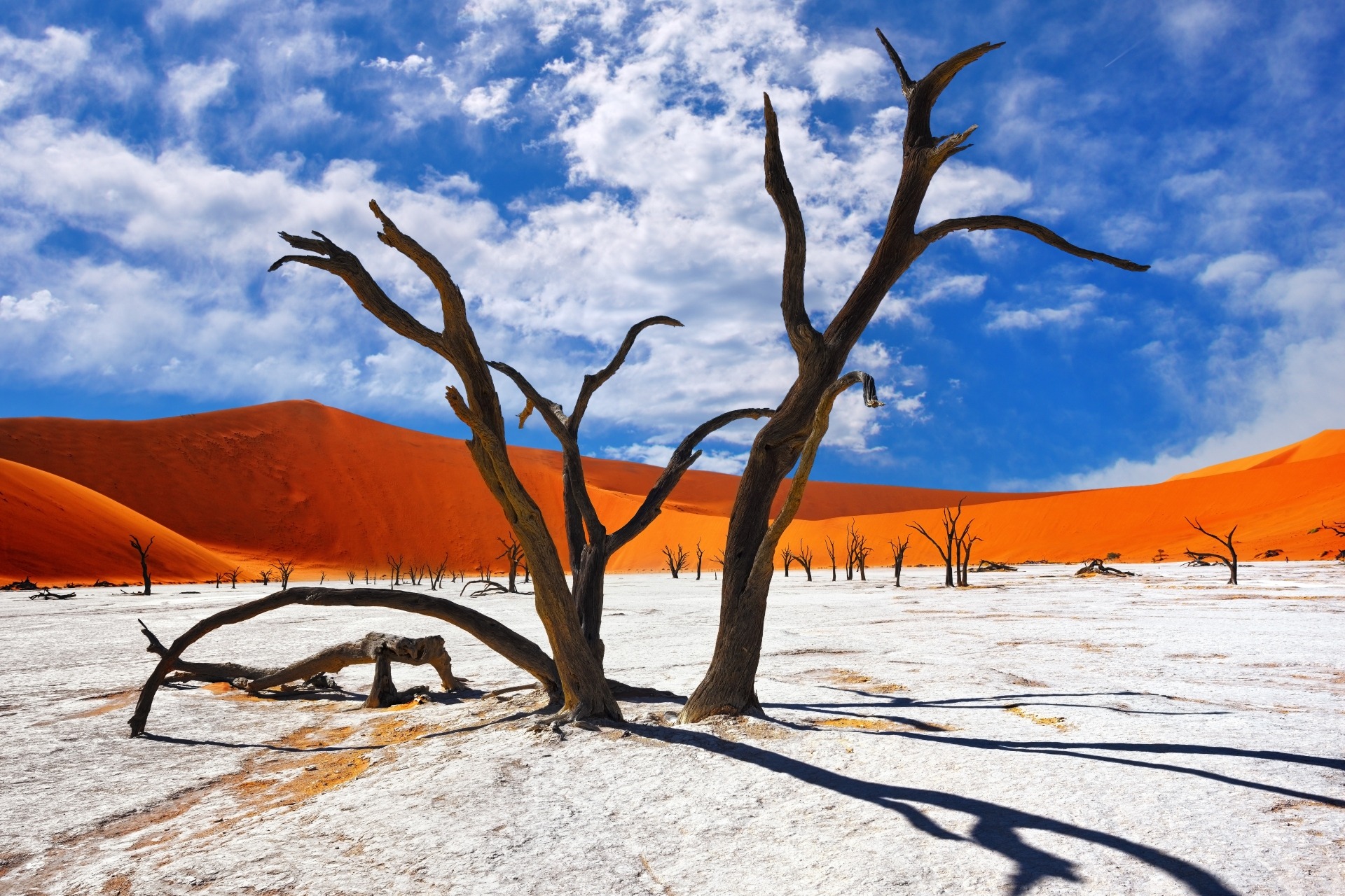 DESTINATION SPOTLIGHT: NAMIBIA | Fitzroy Travel